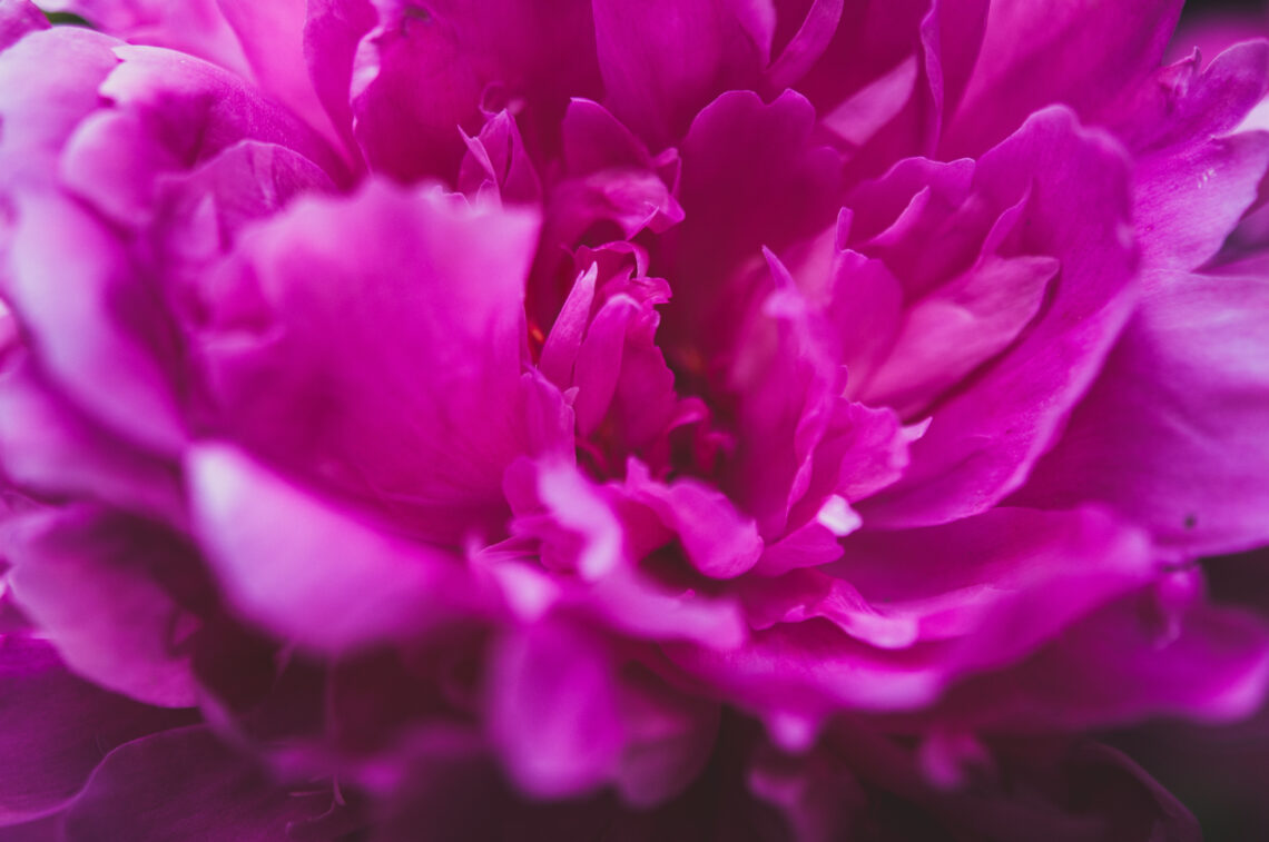 14 Ways To Channel Pantone s 2023 Color Of The Year My Best Self
